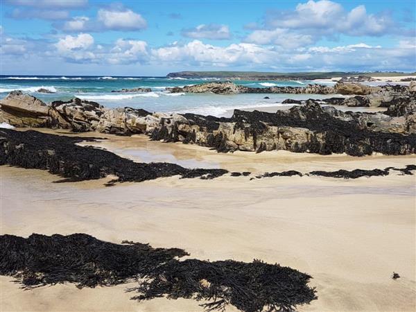 48 Habost in sleeps 2
