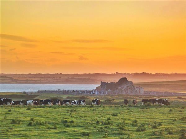 Photos of Bannow Bay Seaside Farm Bannow Bay, near Wexford, Co. Wexford ...