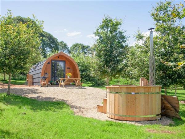 Photos of Devon Glamping - Glamping Pod 2 Brixton, near Plymouth, Devon