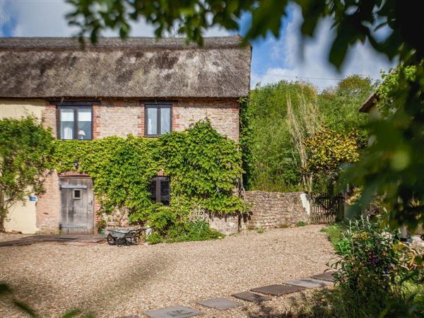Photos of Halsbeer Farm Cottages - Apple Cottage Kentisbeare, near ...