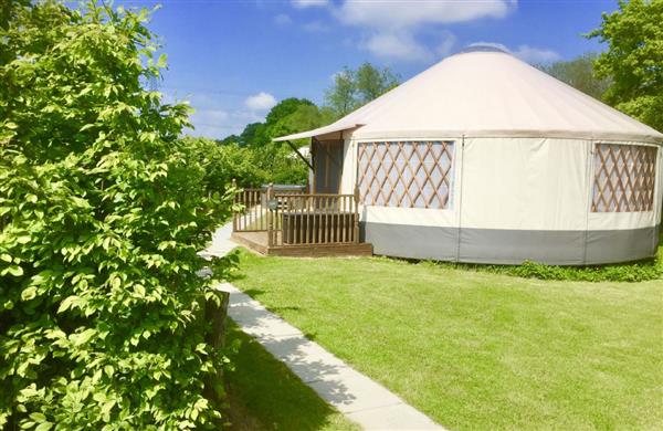 Photos of Oak Yurt East Hoathly, Sussex