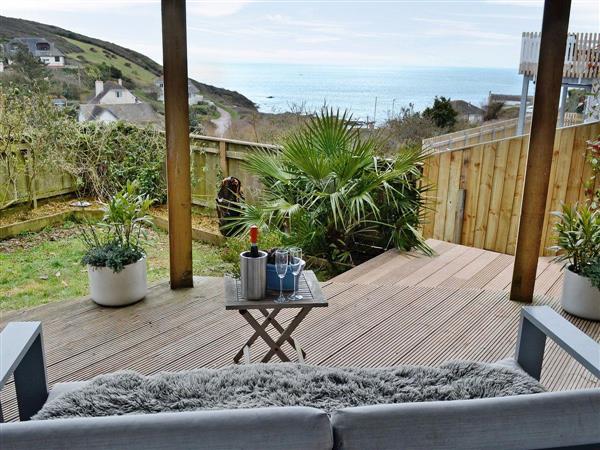 Photos of Oyster Catcher and Seaglass - Oyster Catcher Heybrook Bay ...