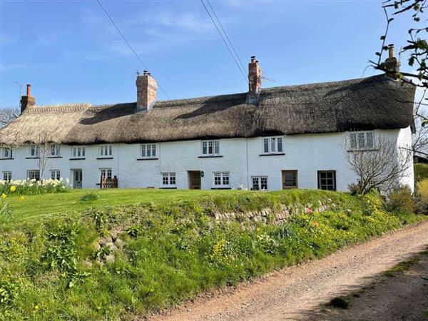Photos of Sea Glimpse Thatch Littleham, Devon