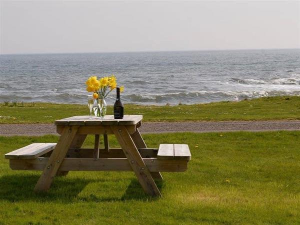 Photos of Seashells Rockfield, near Tain, Ross-Shire