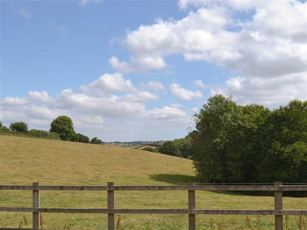 Photos of Tree Park Halwell, near Totnes, Devon