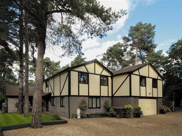 Photos of Treetop House Ringwood, Dorset