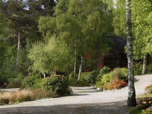 Photos of Tullochwood Lodges - Huntly Rafford, near Forres, Highlands ...